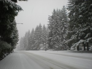 Snow Stats - Seattle Weather Blog