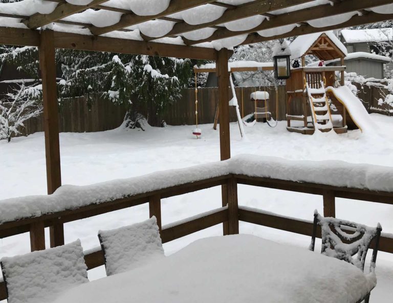 February 2019: Seattle's snowiest month in 50 years - Seattle Weather Blog
